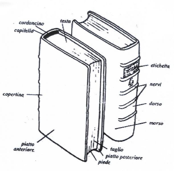 Parliamo di libri - Il Gargano è Storia, Natura, Civiltà